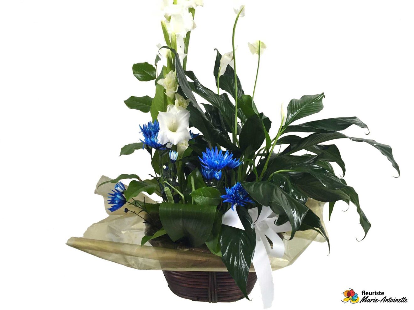 Boutique – Fleuriste Marie-Antoinette